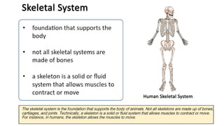 MUSCULOSKELETAL SYSTEM Powerpoint presentations from DOST STARBOOKS | PPTX