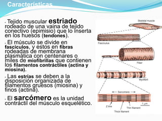 HISTOLOGIA DEL TEJIDO MUSCULAR.ppt