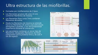 Musculo cardiaco | PPTX