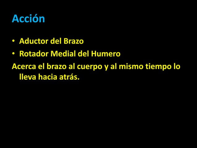 Musculo dorsal ancho | PPT