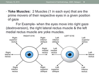Musculofacial anomalies & Ocular Myopathies | PPTX
