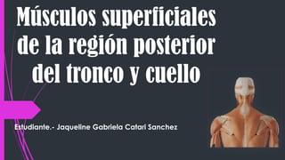 Anatomia de lo mus uloa del tronco y cudllo | PPTX