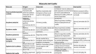 MUSCULOS Del cuello porción superficial y profunda.pptx