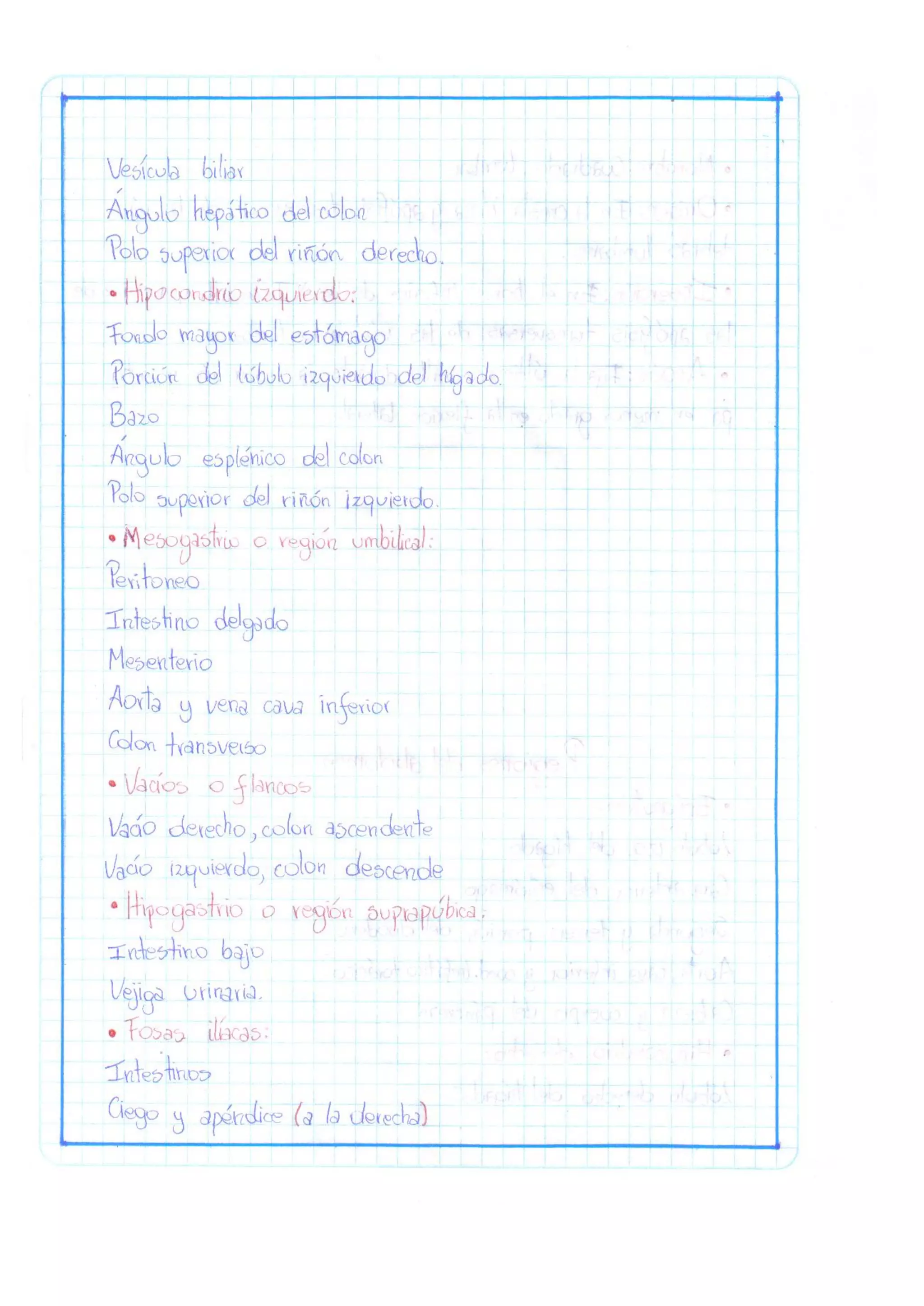 Musculos del-toráx | PDF