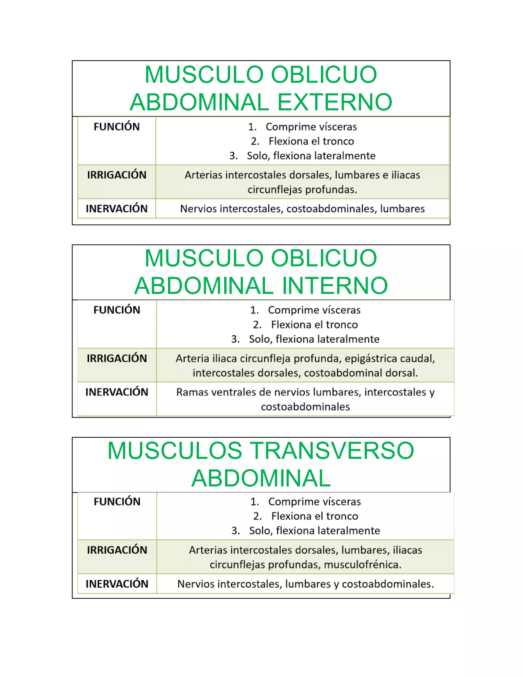 Musculos abdominales y lumbares | DOCX
