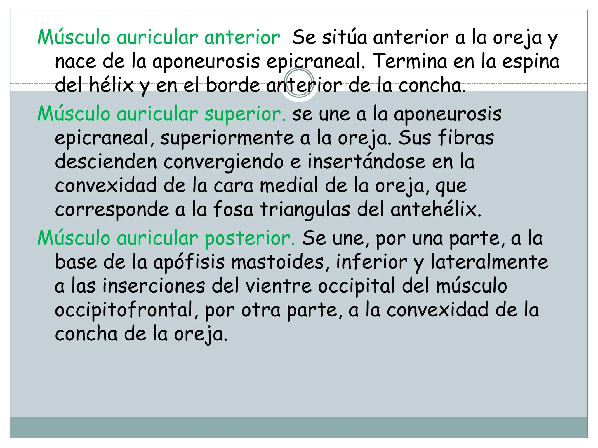 musculos cara. Miologia de cabeza y cuello | PPTX