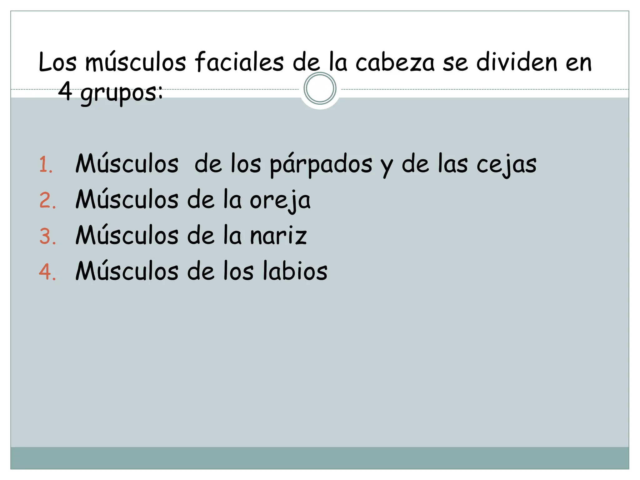 musculos cara. Miologia de cabeza y cuello | PPTX