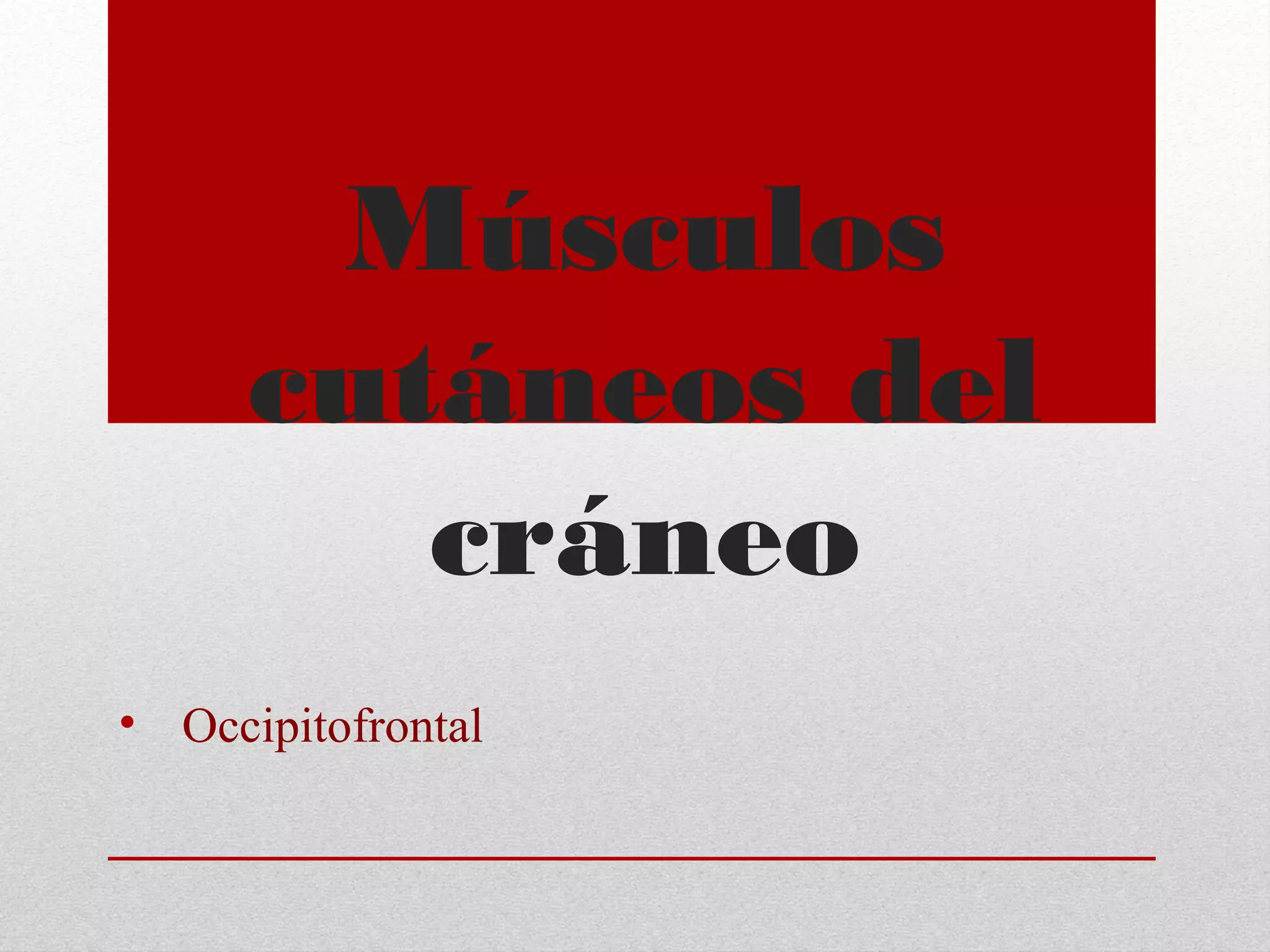 Musculos cutaneos de la cara | PPT