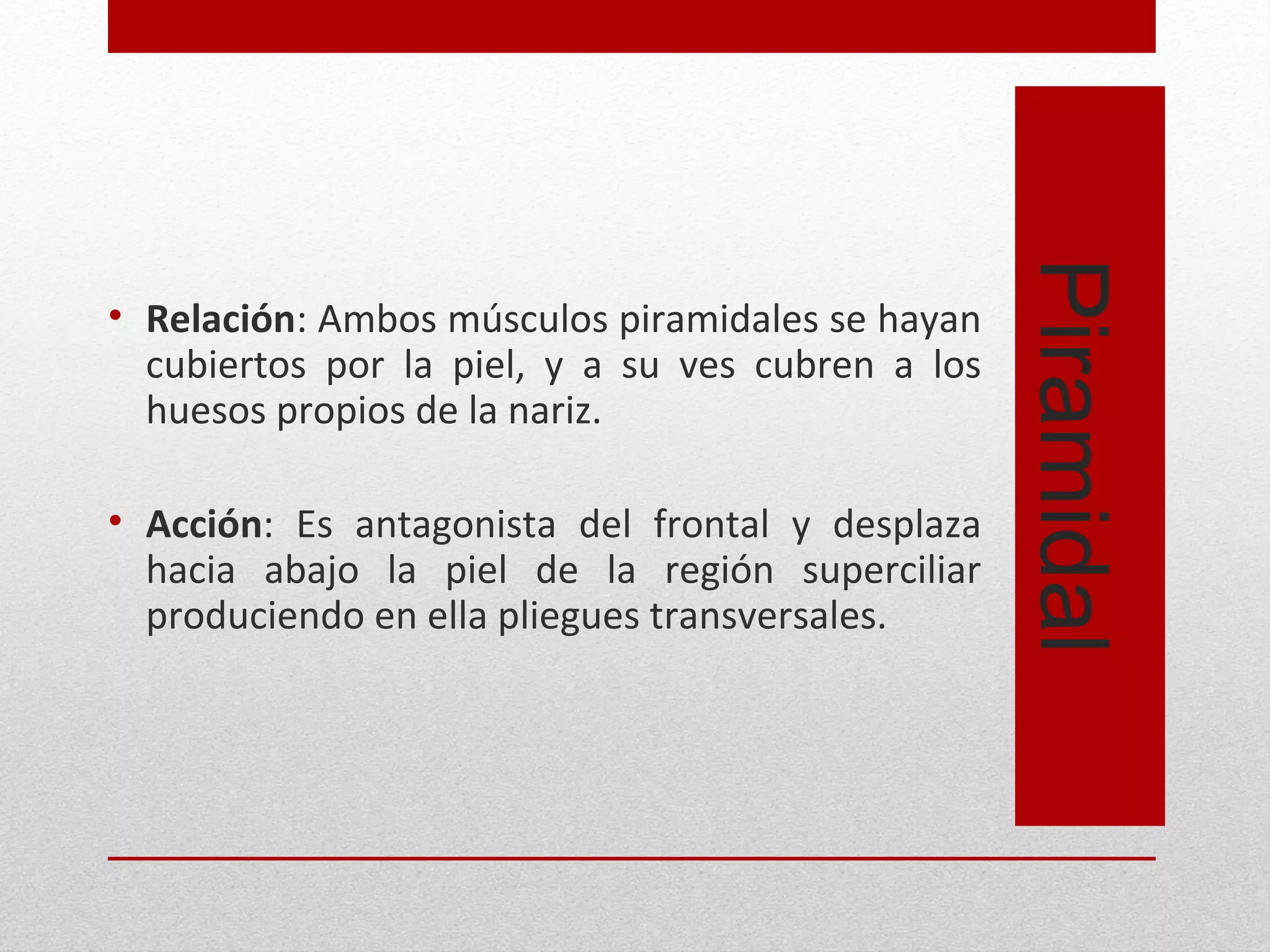 Musculos cutaneos de la cara | PPT