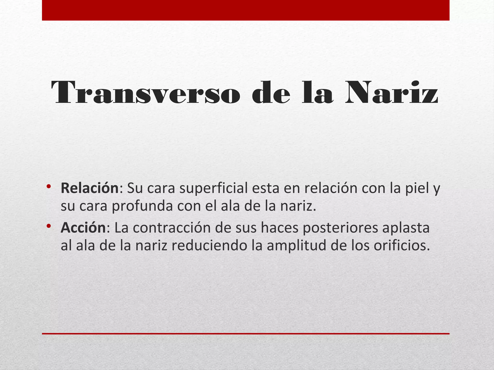 Musculos cutaneos de la cara | PPT