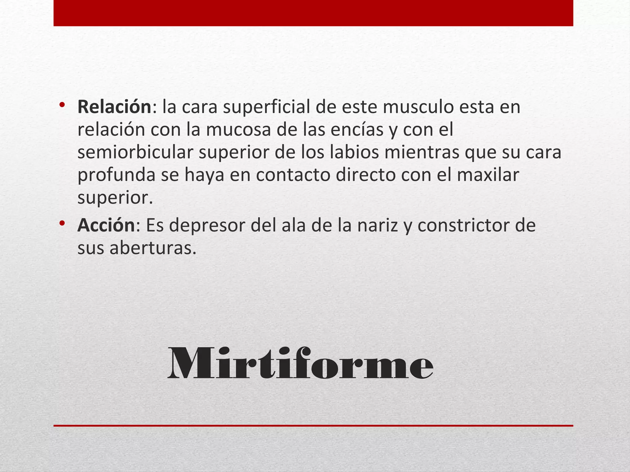 Musculos cutaneos de la cara | PPT