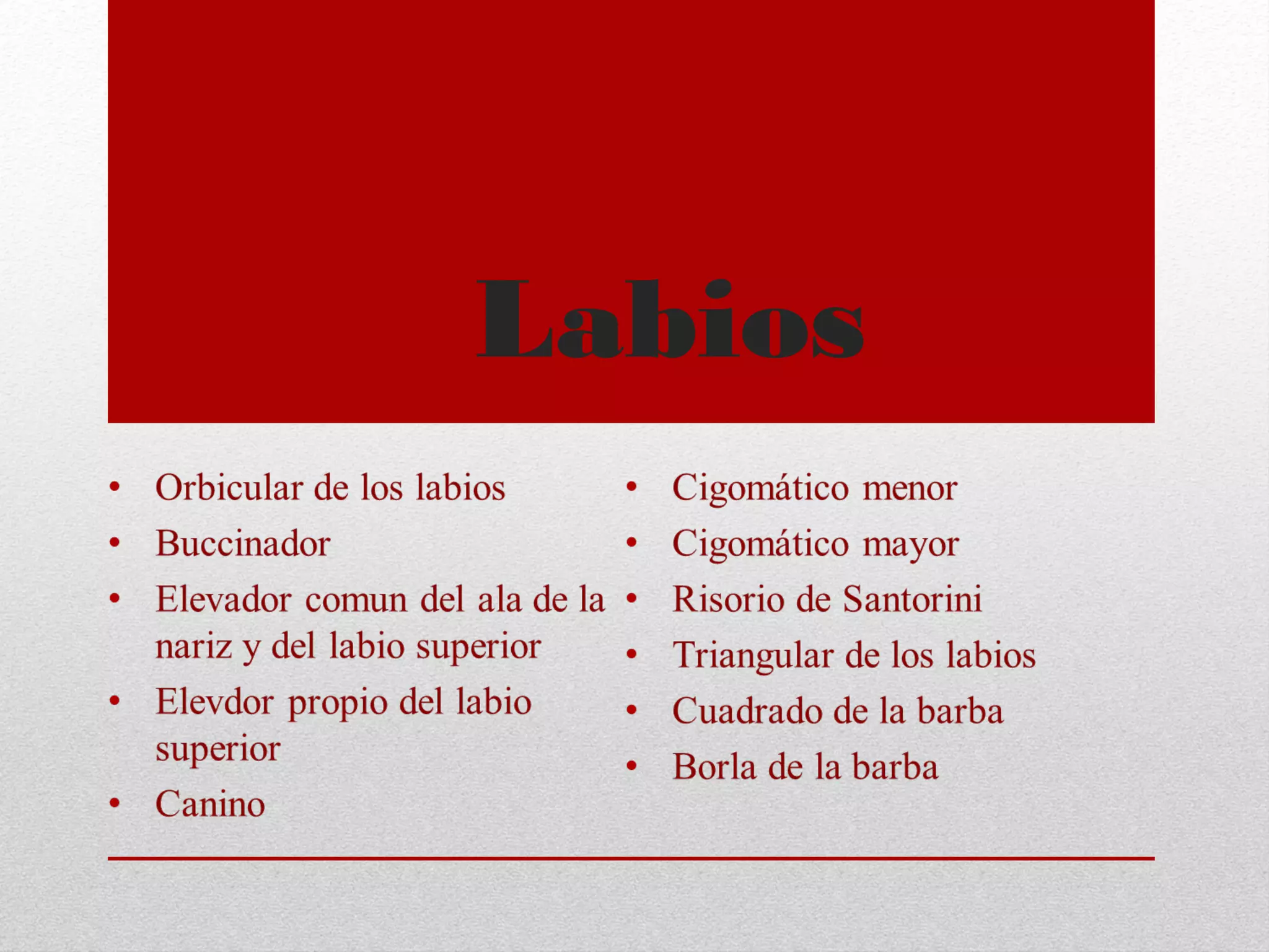 Musculos cutaneos de la cara | PPT
