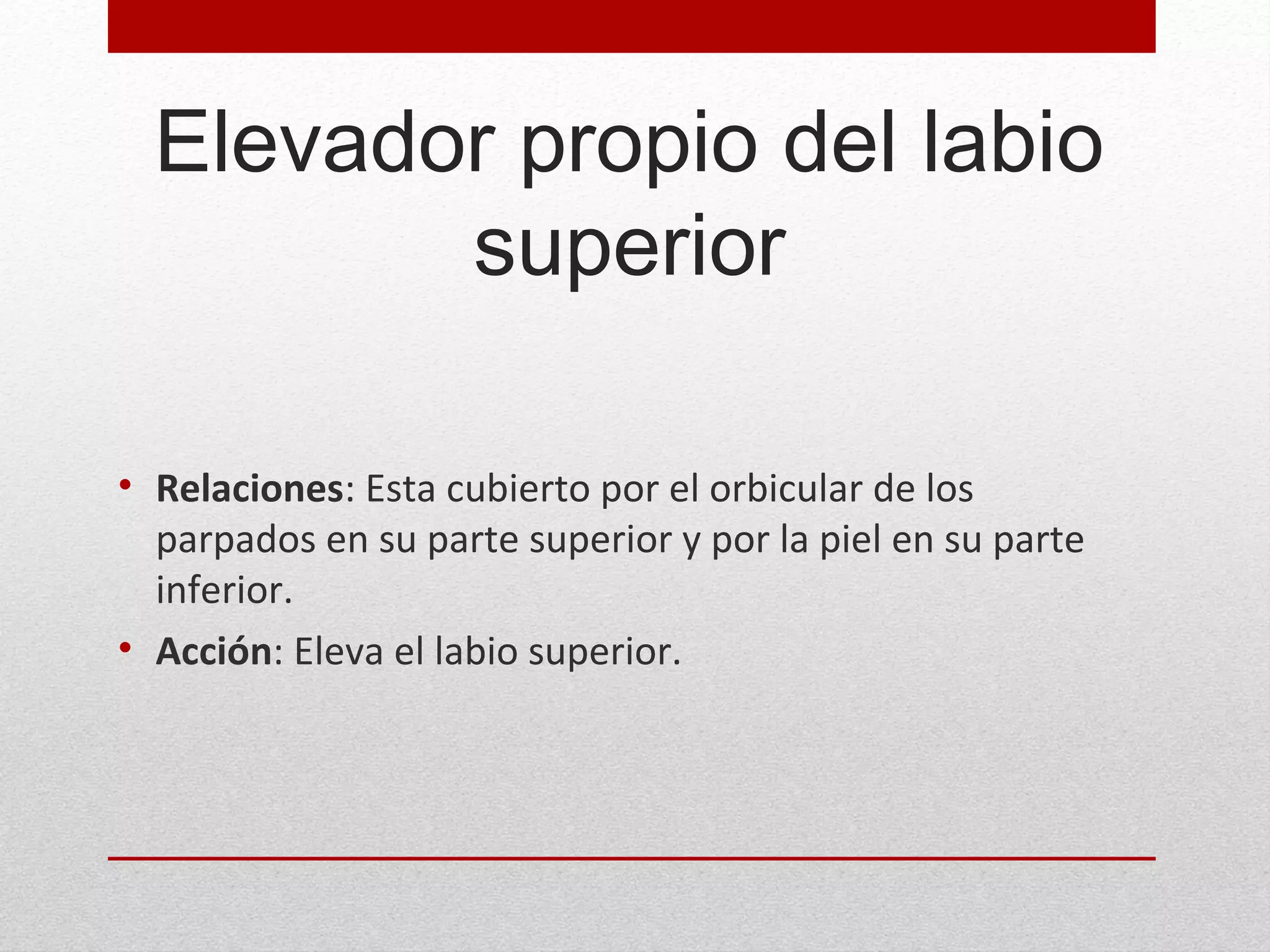Musculos cutaneos de la cara | PPT