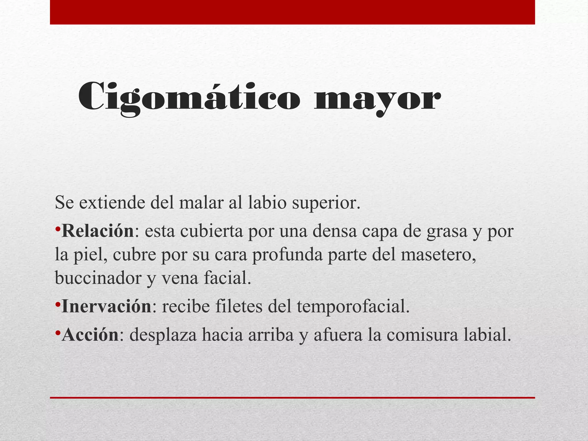Musculos cutaneos de la cara | PPT