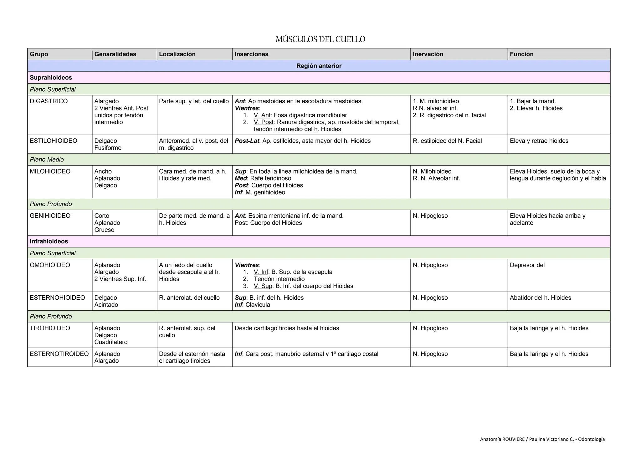 Músculos de cabeza y cuello clasificacion segun rouviere | DOCX