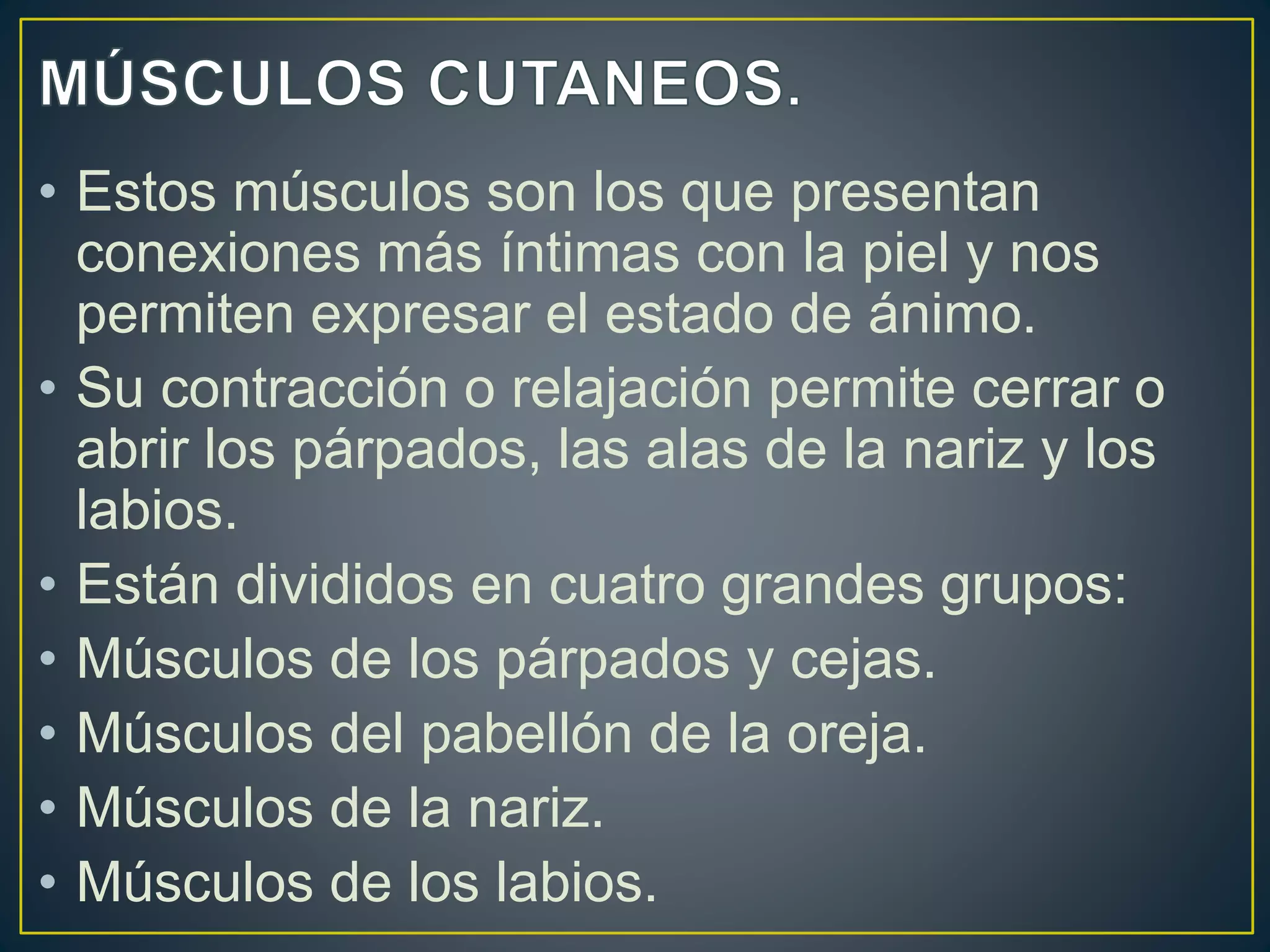Musculos de cara y cuello | PPT