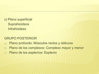 Musculos de cuello | PPTX
