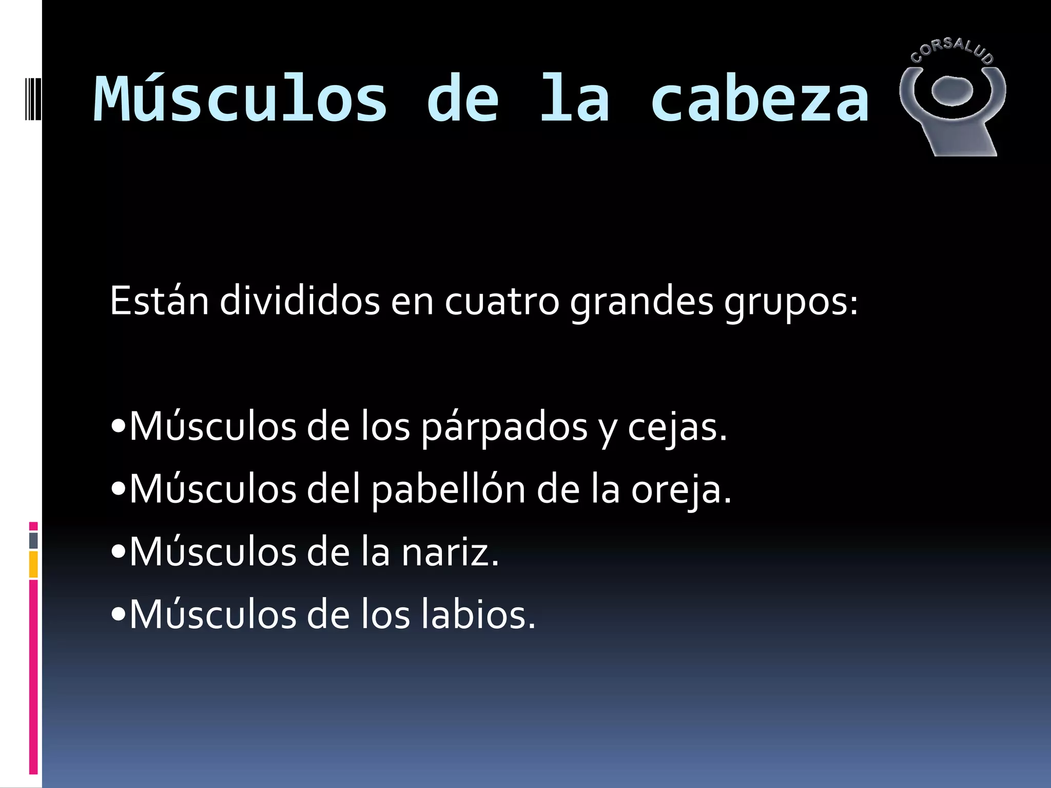 Clase 5 Morfofisiología Músculos de la cabeza | PPT