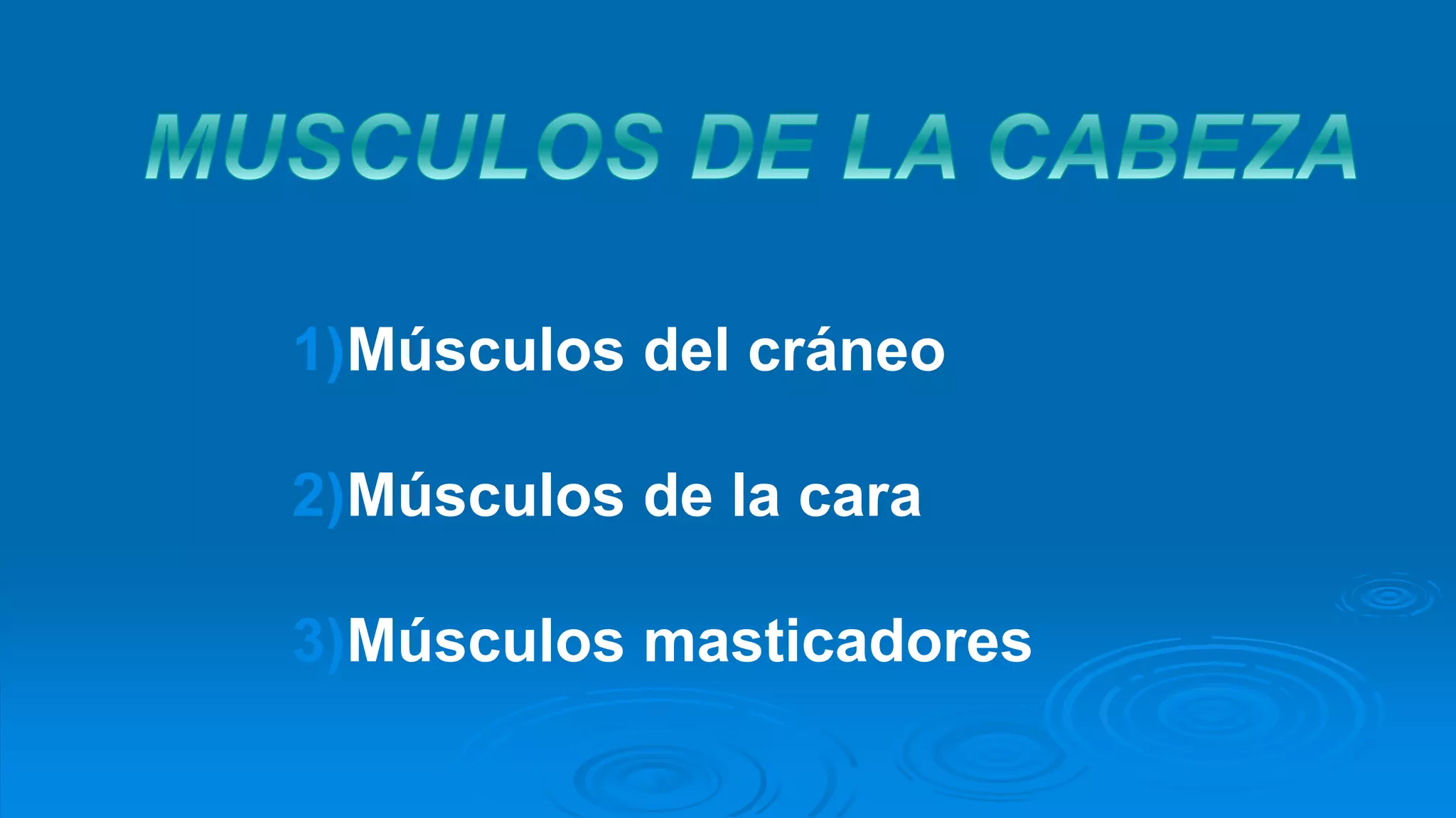 Musculos de la cabeza | PPTX