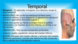 MUSCULOS DE LA CABEZA.pptx