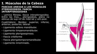 MUSCULOS DE LA CABEZA_-masticación_.pptx