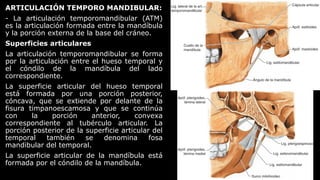 MUSCULOS DE LA CABEZA_-masticación_.pptx