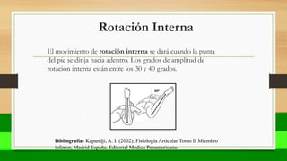 MUSCULOS DE LA CADERA.pptx
