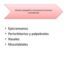 MUSCULOS DE LA EXPRECION FACIAL 2.0.pptx