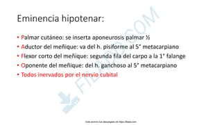 Musculos de la mano.pdf