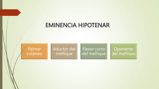 MUSCULOS DE LA MANO (1).pptx