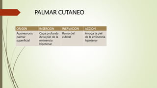 MUSCULOS DE LA MANO (1).pptx