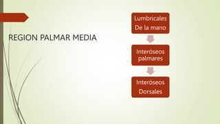 MUSCULOS DE LA MANO (1).pptx