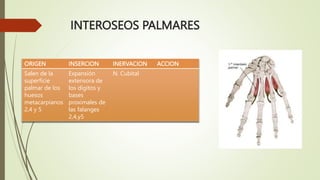 MUSCULOS DE LA MANO (1).pptx