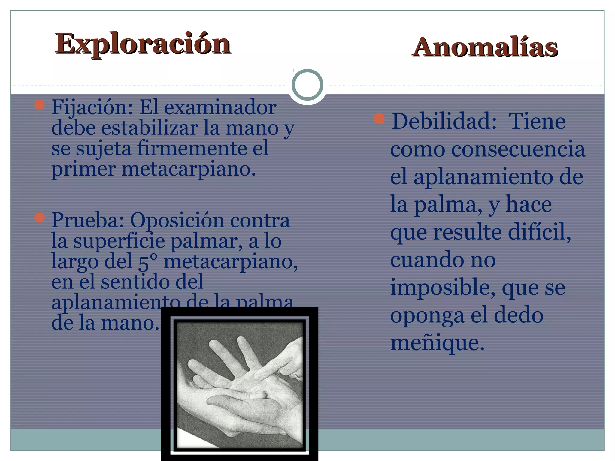Musculos de la mano dra franco 1 | PPT