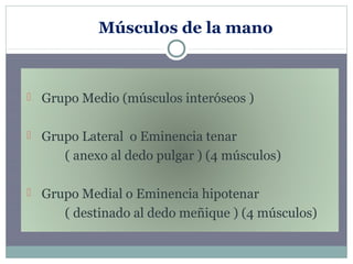 Musculos de la mano dra franco 1 | PPT