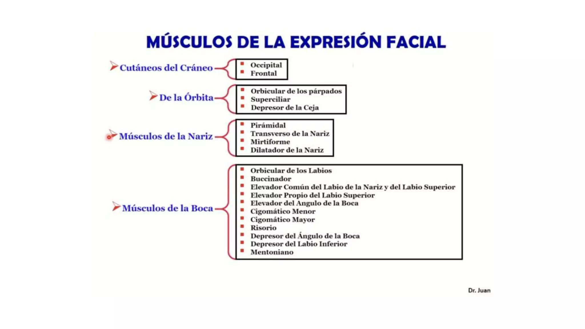 MUSCULOS DE LA MIMICA FACIAL.pptx