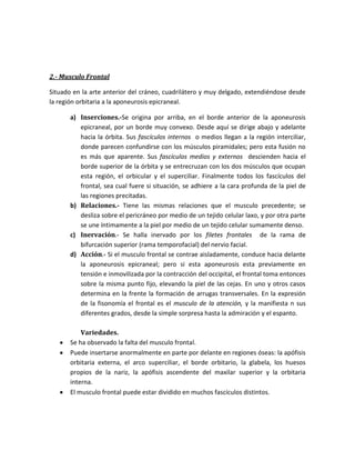 Músculos de la Cabeza (Cráneo & &Cara) | DOCX