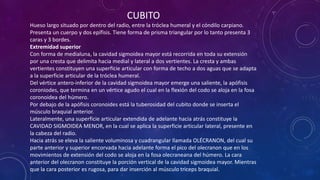 Musculos del antebrazo | PPTX