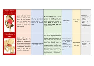 Tabla de resumen Músculos de la PELVIS.pdf