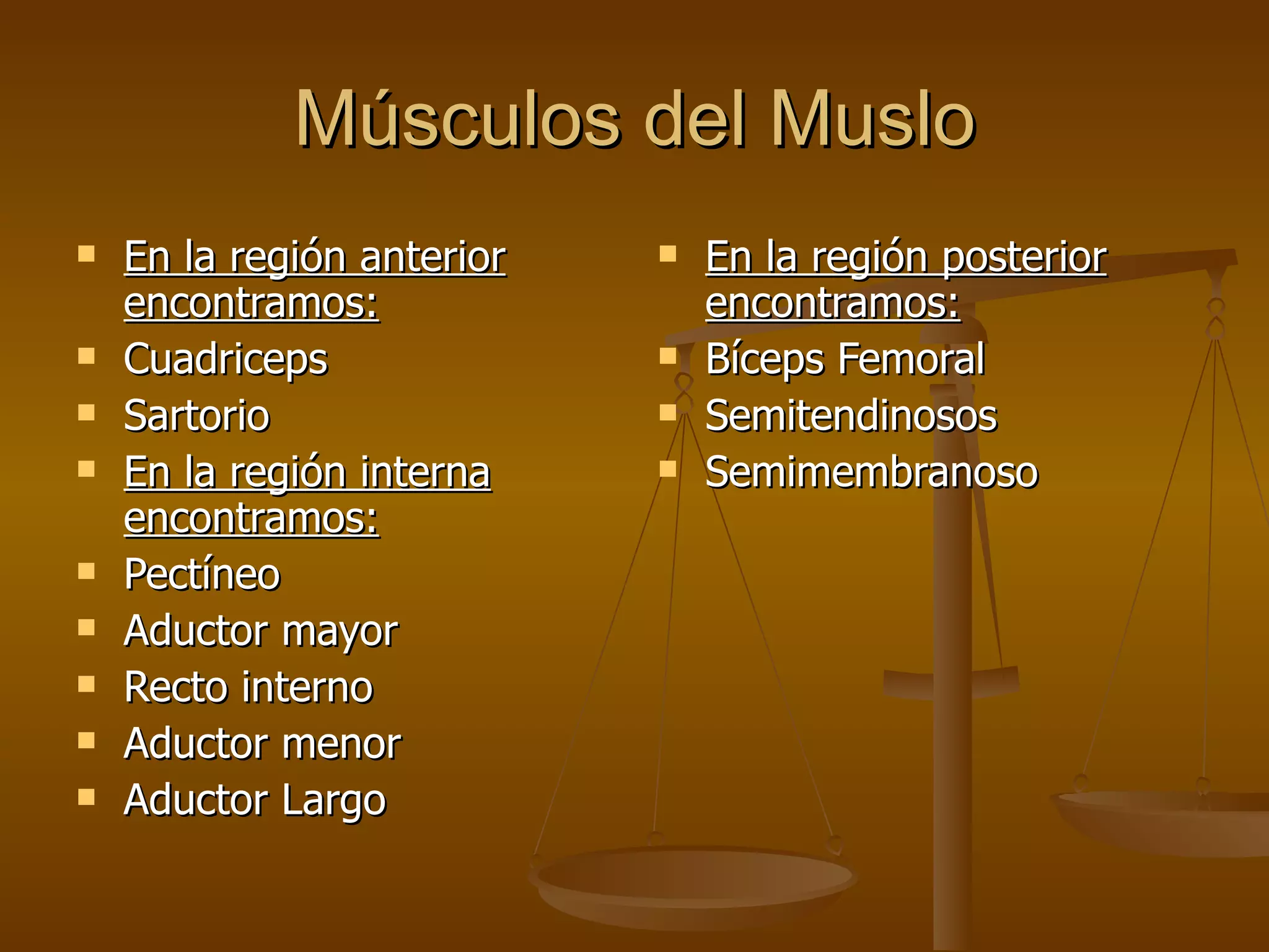 Musculos del cuerpo humano | PPT