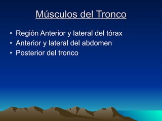 Musculos del cuerpo humano | PPT
