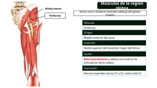 musculos del gluteo que mueven el femur.pptx