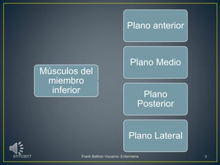 Enfermeria Musculos | PPTX