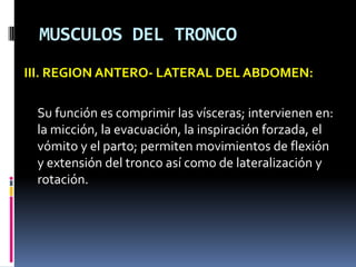 Musculosdeltorax | PPTX