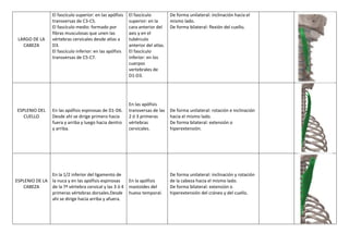 MUSCULOS DEL TORAX cuadros con comceptos.pdf