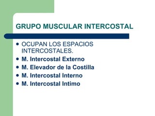 Musculos del tronco | PPT