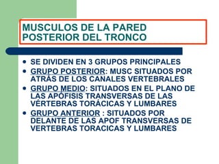 Musculos del tronco | PPT