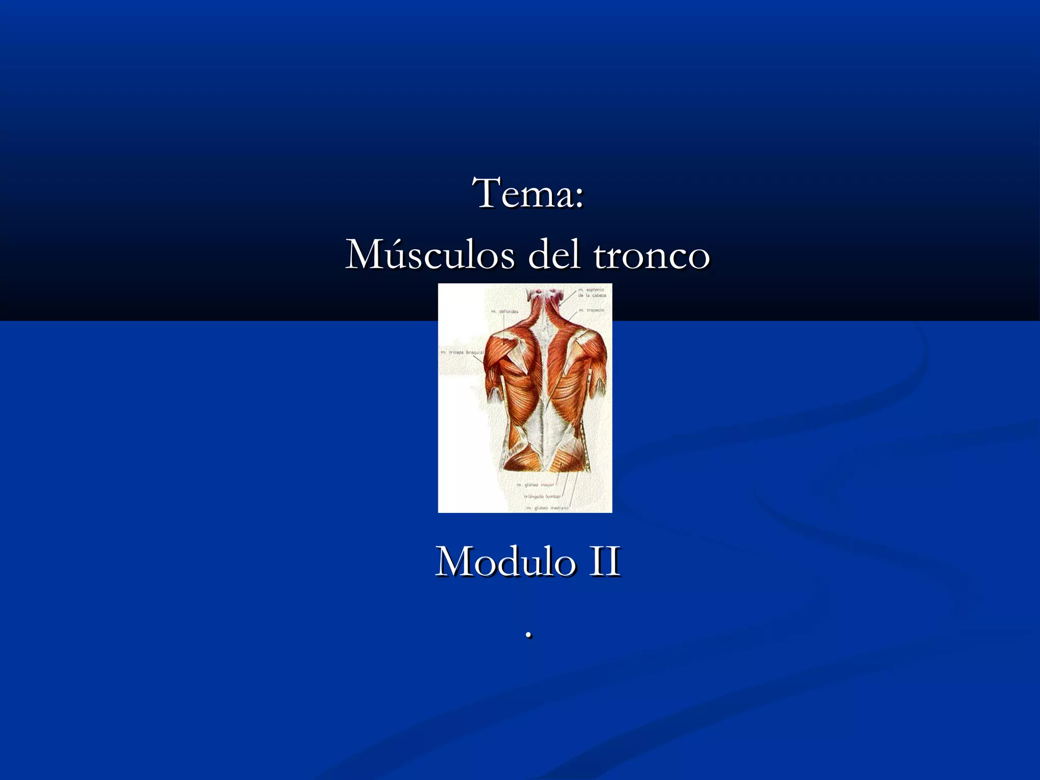 Musculos del tronco | PPT