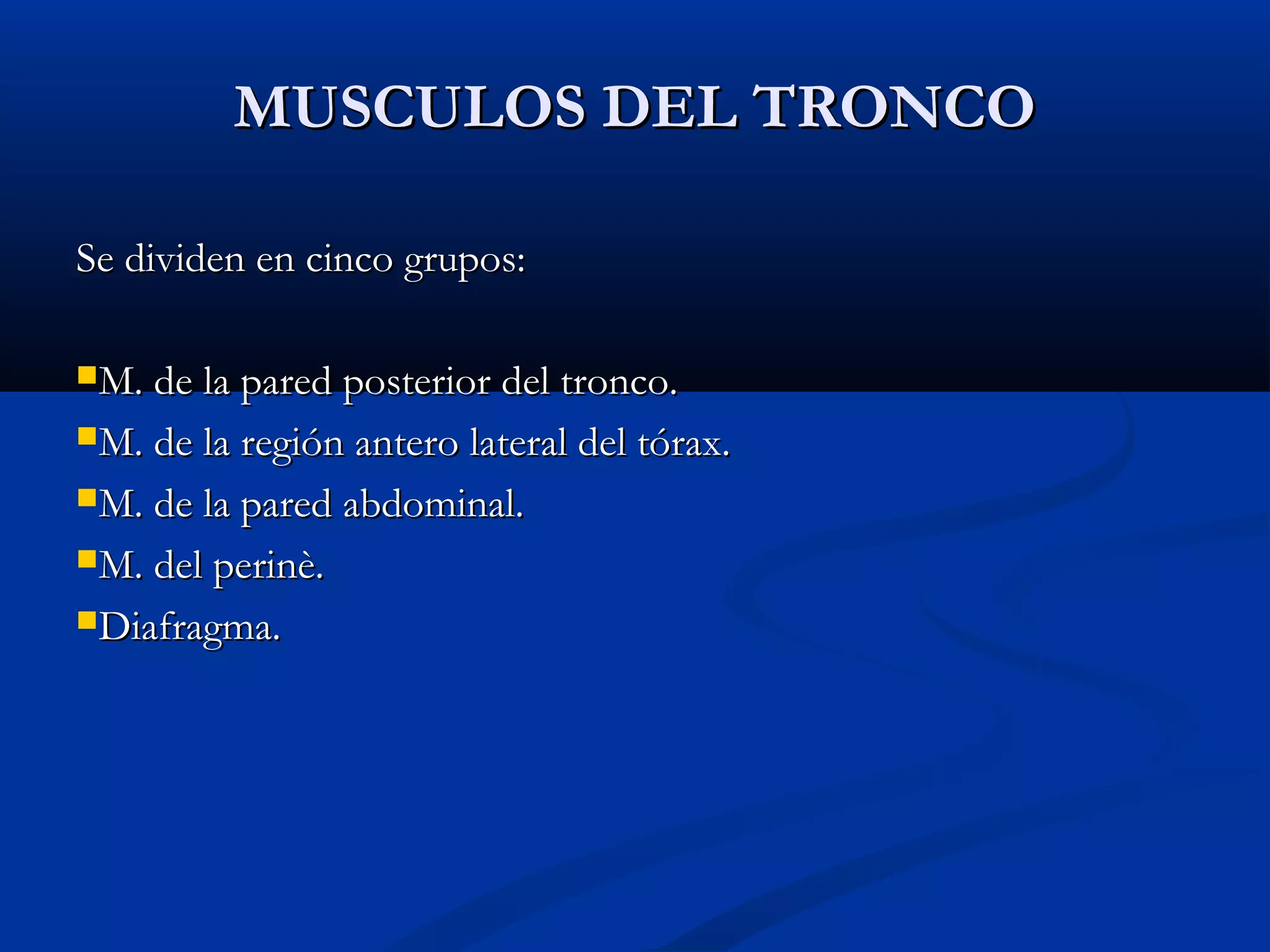 Musculos del tronco | PPT