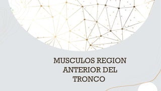 Musculos del tronco Musculos del troncoMusculos del tronco | PPTX